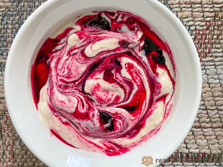 DIY 2-Ingredient Haskap Berry Yogurt - Earth to Veg