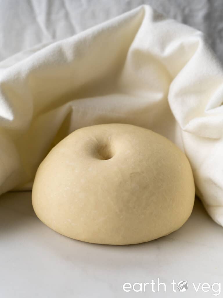 Basic Hot Water Dough (烫面团) for Dumplings and More - Earth to Veg