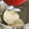 Basic Hot Water Dough (烫面团) for Dumplings and More - Earth to Veg