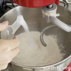 Basic Hot Water Dough (烫面团) for Dumplings and More - Earth to Veg