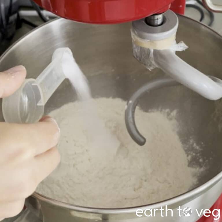 Basic Hot Water Dough (烫面团) for Dumplings and More - Earth to Veg