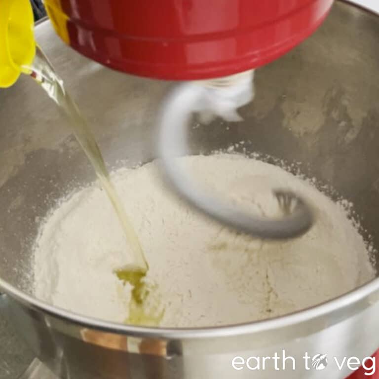 Basic Hot Water Dough (烫面团) for Dumplings and More - Earth to Veg