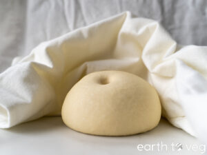 Basic Hot Water Dough (烫面团) for Dumplings and More - Earth to Veg