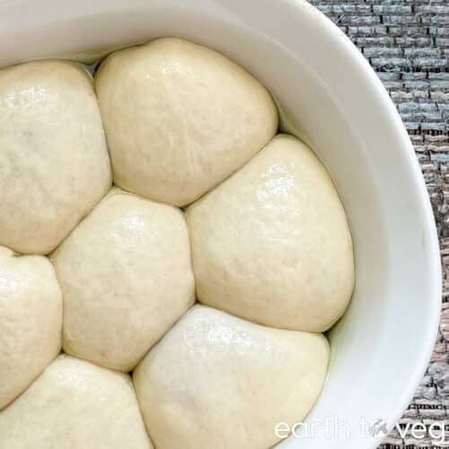 Vegan Master Sweet Dough & One-Rise Sandwich Bread - Earth to Veg