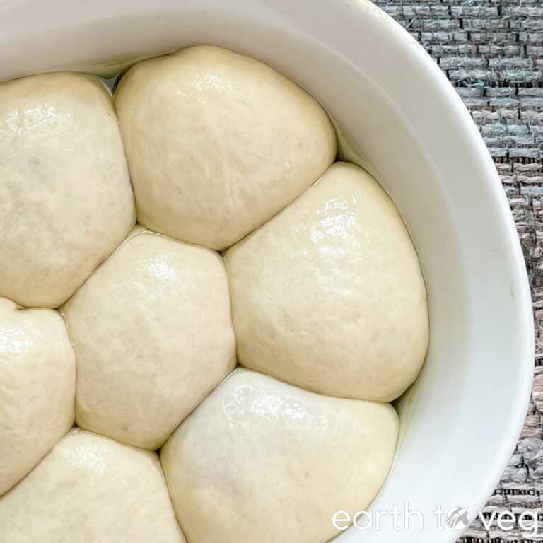 Vegan Master Sweet Dough & One-Rise Sandwich Bread - Earth to Veg