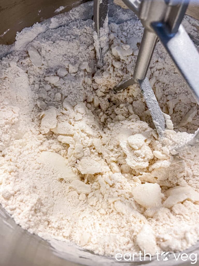 Easy Stand Mixer Pie Crust (Dairy-Free Recipe) - Earth to Veg