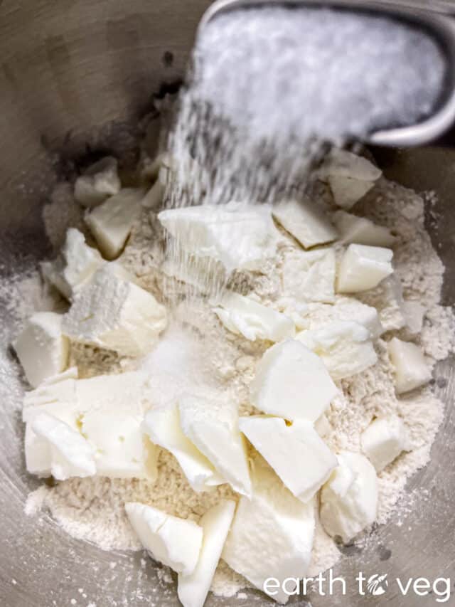 Easy Stand Mixer Pie Crust (Dairy-Free Recipe) - Earth to Veg