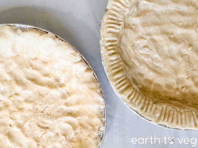 Easy Stand Mixer Pie Crust (Dairy-Free Recipe) - Earth to Veg