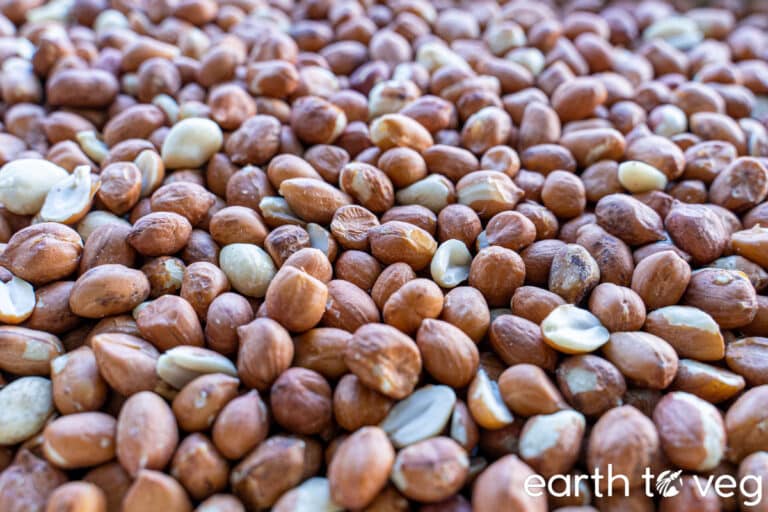 The Best Peanut Butter Is Made with Skins On - Earth to Veg