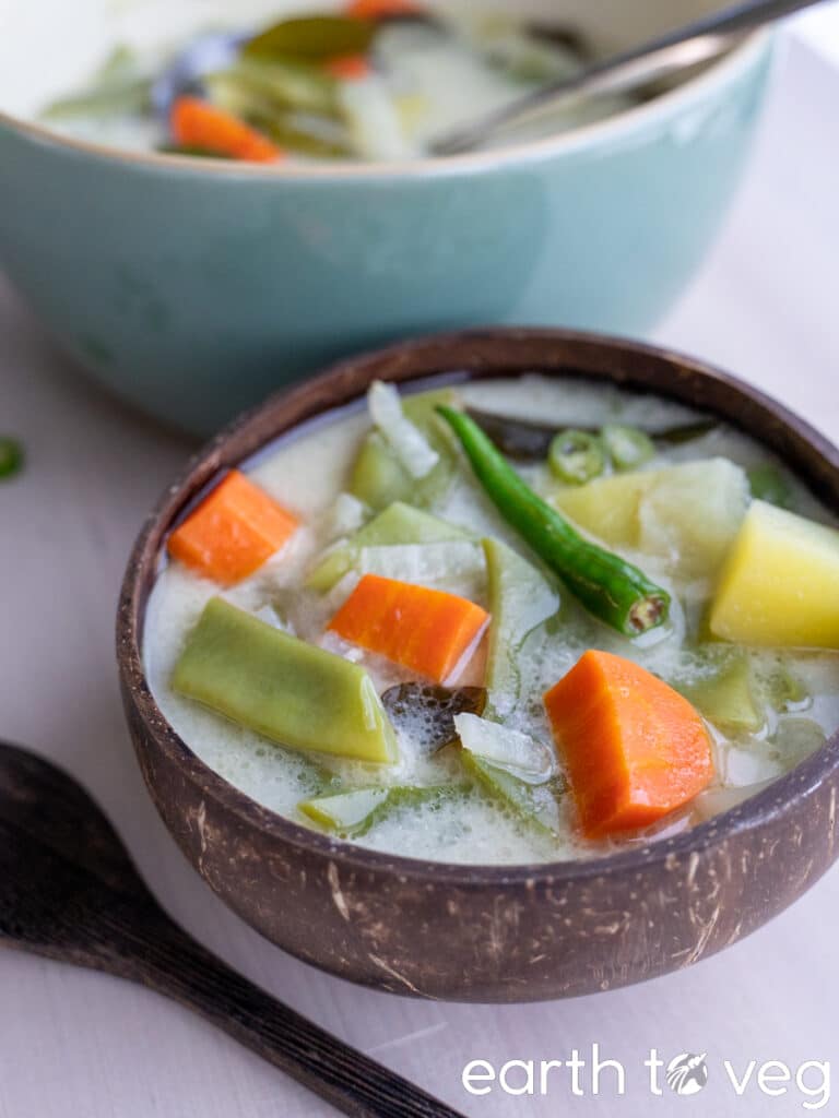 Kerala Ishtew (Indian Coconut Milk Vegetable Stew) - Earth to Veg