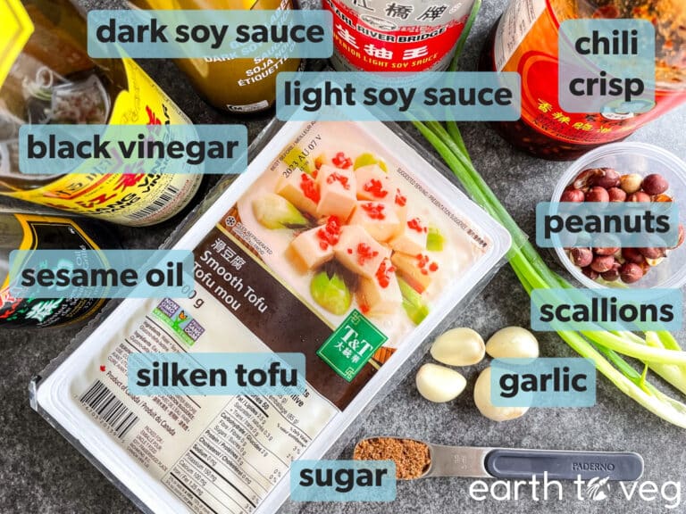 Sichuan Doufunao (Spicy Tofu Pudding) - Earth to Veg