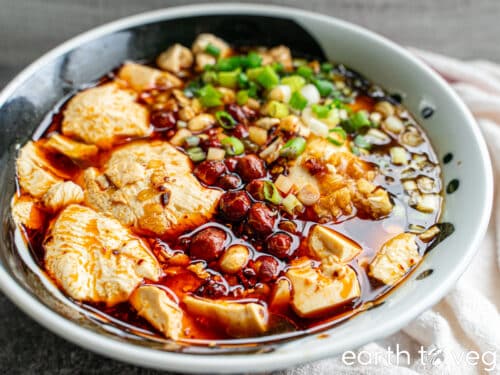 Sichuan Doufunao (Spicy Tofu Pudding) - Earth to Veg