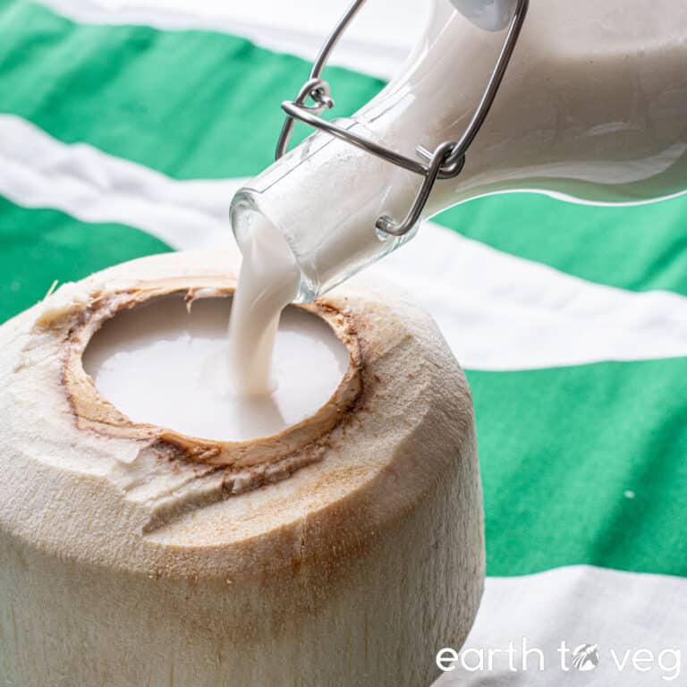Chinese Coconut Milk Drink Recipe - Earth to Veg